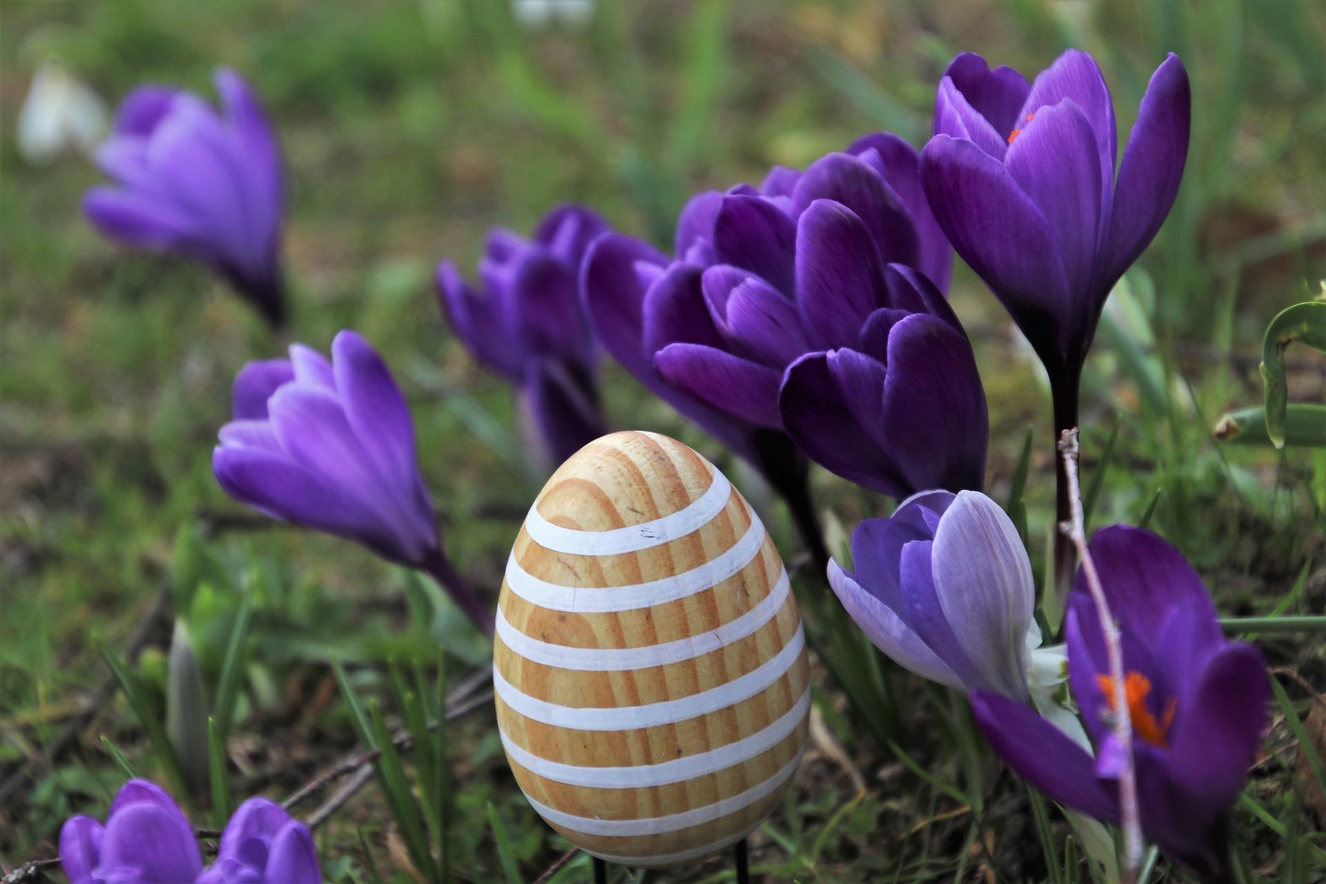 What’s On this Easter in Cambridge - Instant Home